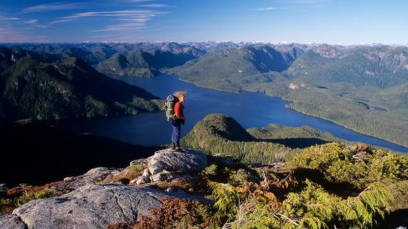 Landmark deal to protect Canada Great Bear Rainforest - BBC News
