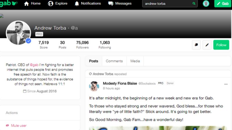 Social network Gab back online after shooting - BBC News