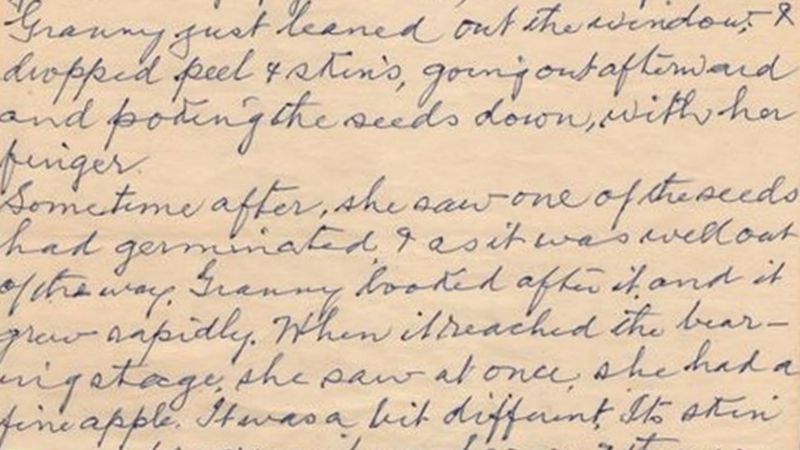 Who was the real Granny Smith? - BBC News