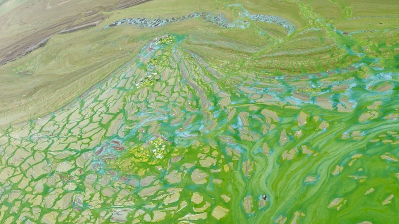 Climate change: Blue planet will get even bluer as Earth warms - BBC News