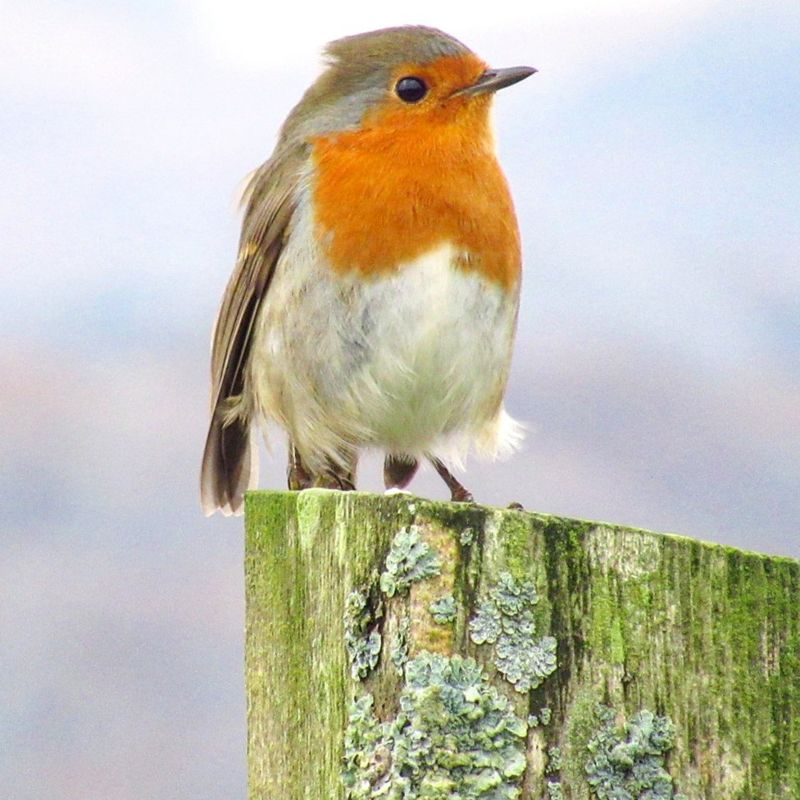 Your pictures of Scotland 30 October - 6 November - BBC News