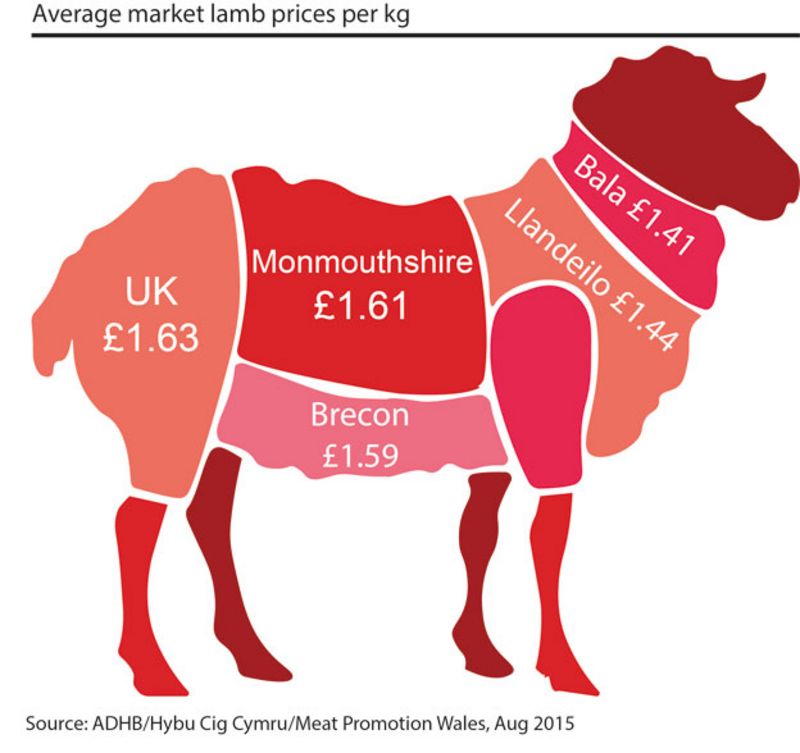 Farmers hold crisis summit over 'critical' lamb price fall - BBC News