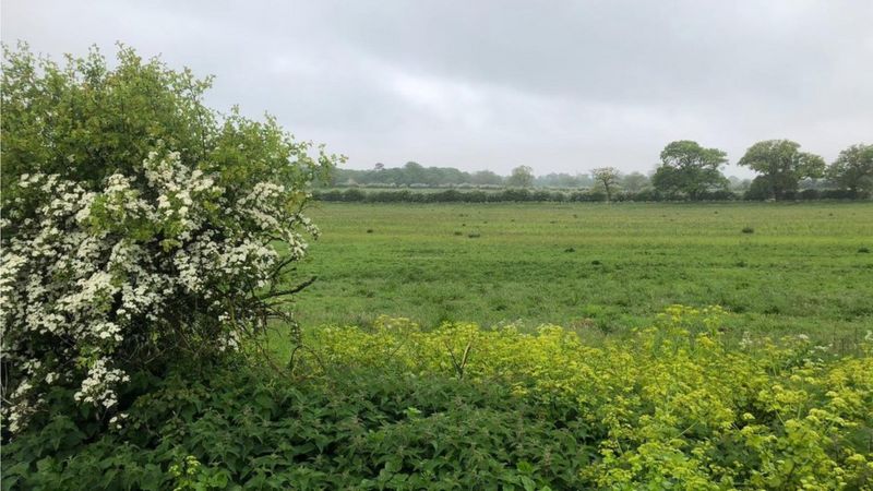 BBC Springwatch at Wild Ken Hill 'amazing for rewilding' - BBC News