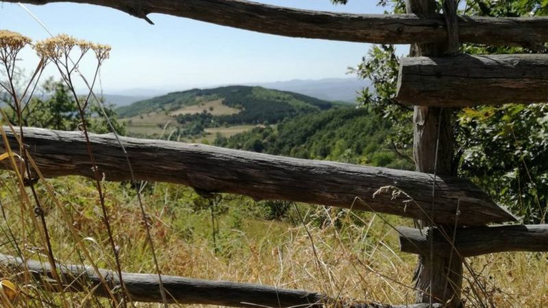 Selo, mladi i Srbija: Kako do kuće uz pomoć države - BBC News na srpskom