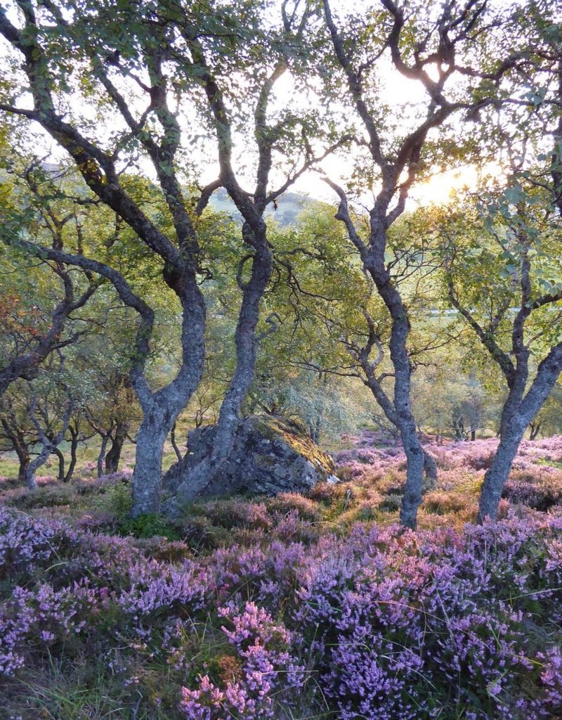 Your pictures of Scotland 21 - 28 August - BBC News