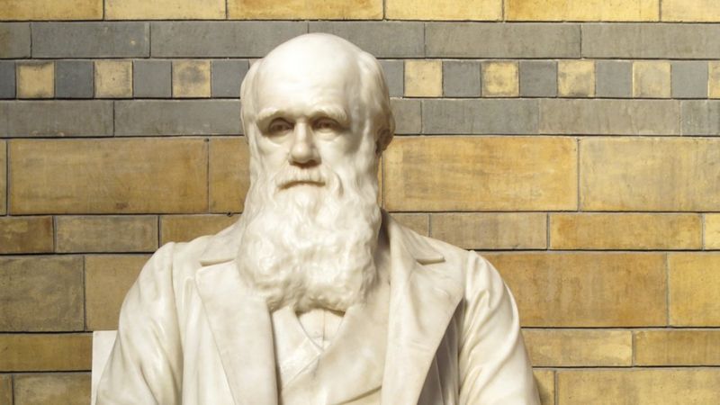 The Vocabularist: When is a theory 'just a theory'? - BBC News