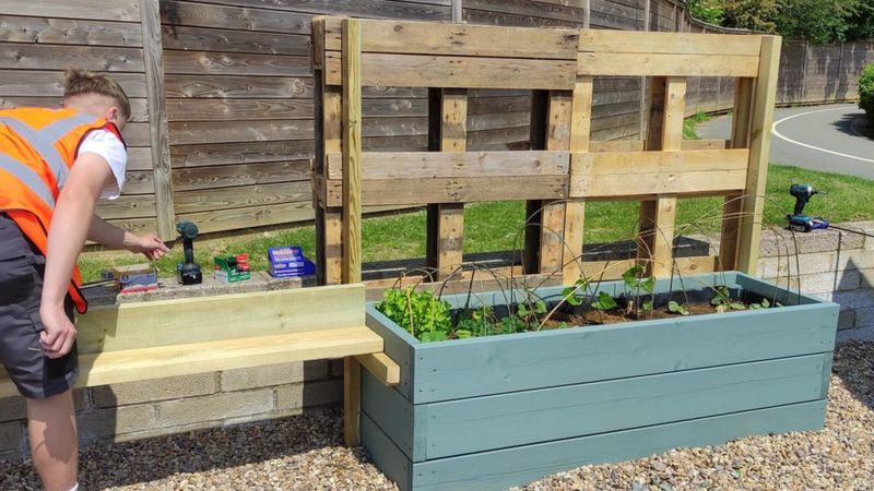 Rushden community garden built by students and wildlife trust - BBC News