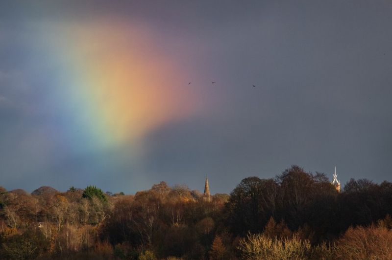 Your pictures of Scotland: 18 - 25 November - BBC News