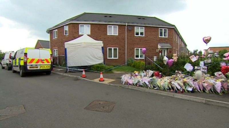 Man admits Gloucester wife and stepdaughter murders - BBC News