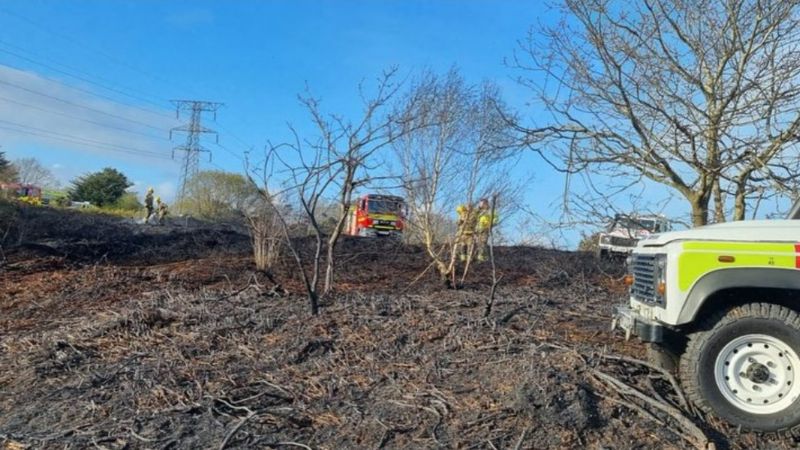 Dorset heathland fires: Crews tackle blazes 'started deliberately ...