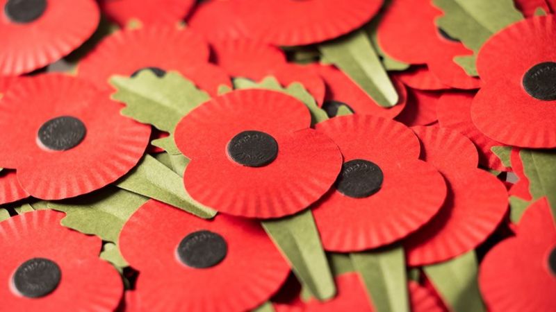 Remembrance Day appeal launches with Kent-made eco-poppy - BBC News