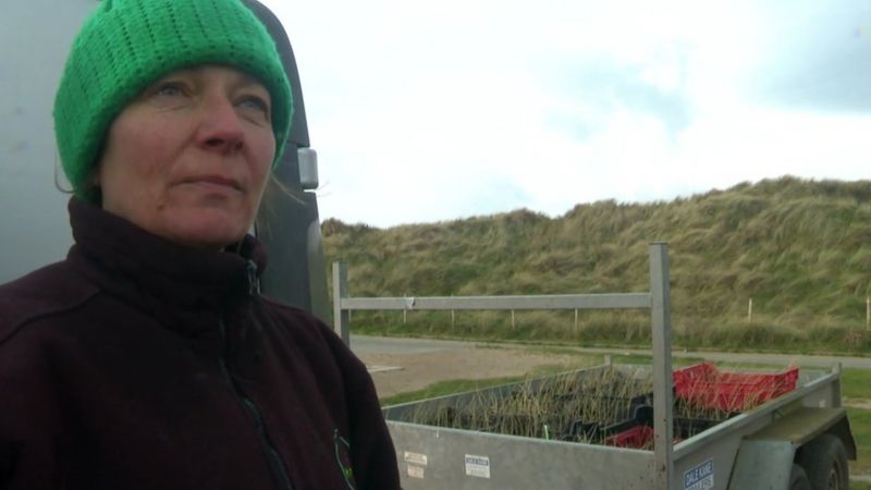 Bid to save Tyrella beach sand dunes with conservation project - BBC News