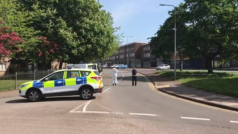 Cardiff gang members plead guilty to armed attacks - BBC News