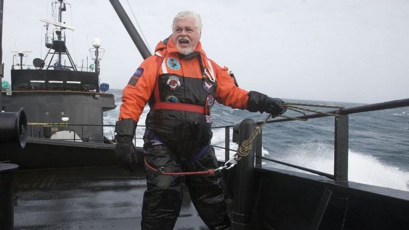 Anti-whaling ship to sail from Hull for global mission - BBC News