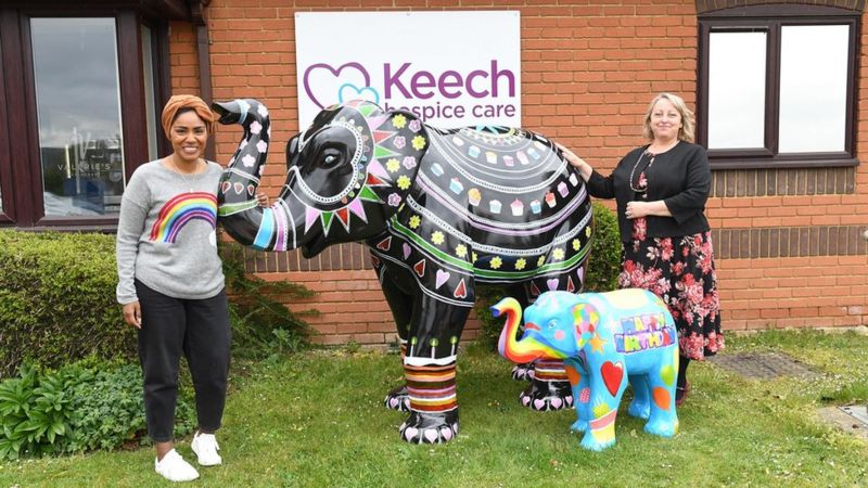 Keech Hospice Care's elephant trail opens to showcase Luton - BBC News