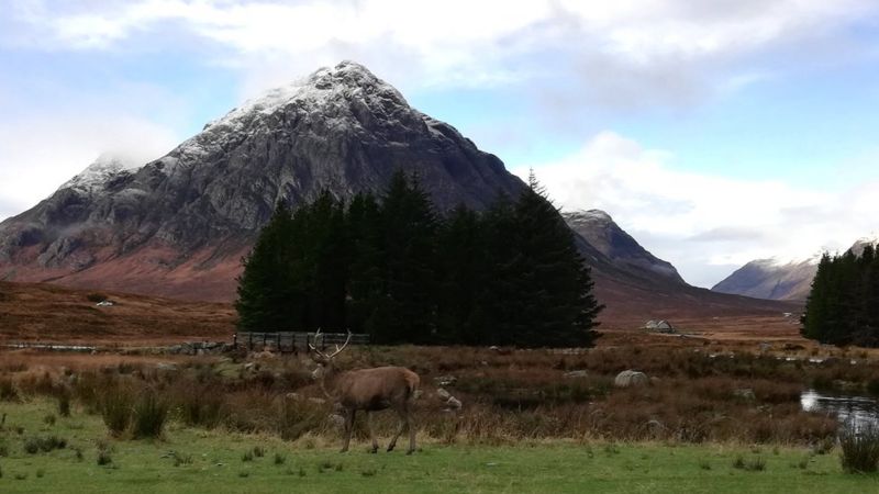 Your pictures of Scotland: 2-9 December - BBC News