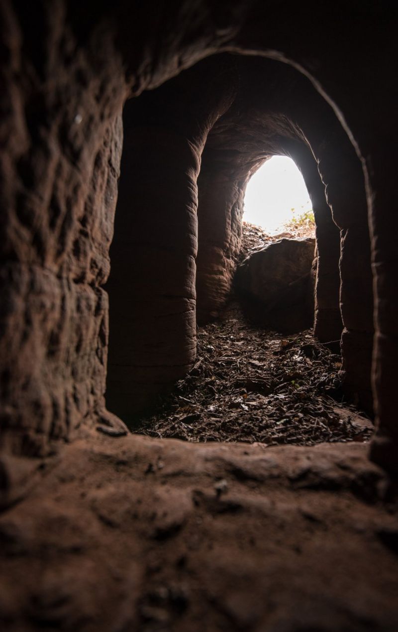 Rabbit hole in farmer's field leads to 'mystery caves' - BBC News