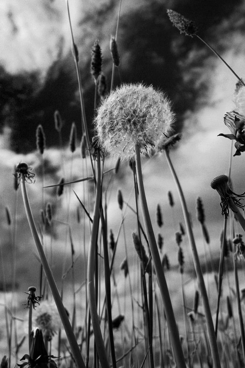 Your pictures on the theme of 'monochrome' - BBC News