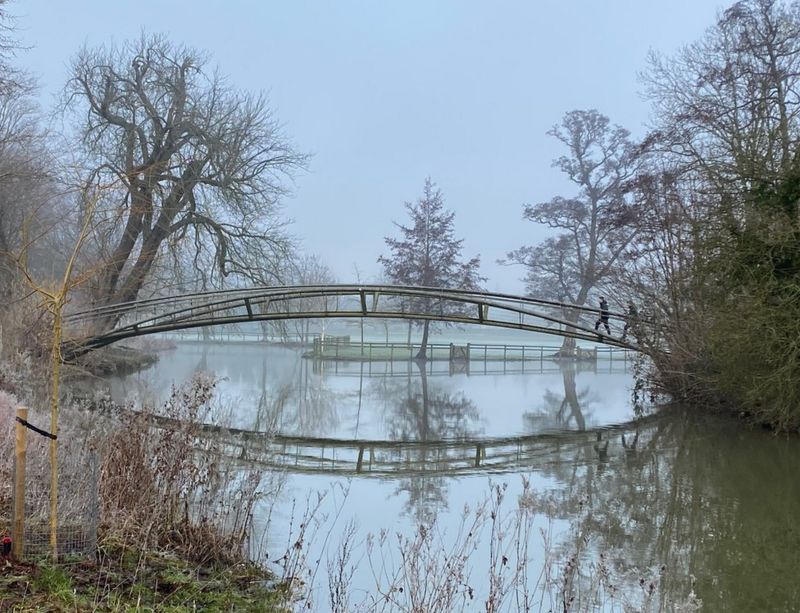 England's Big Picture: 23 January - 29 January 2023 - BBC News