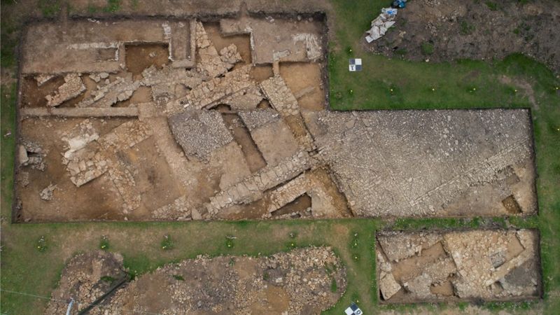 Tiny Roman dog remains found during Oxford archaeological dig - BBC News