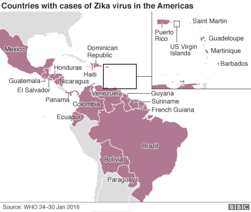 Zika outbreak: Travel advice - BBC News