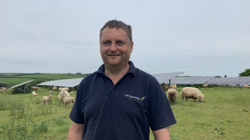Farmers in Cornwall working to reduce carbon footprint - BBC News