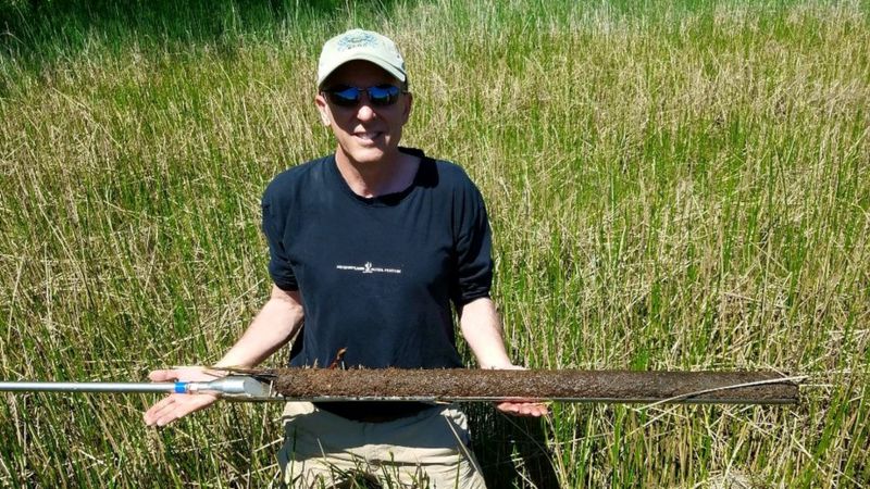 Wetland mud is 'secret weapon' against climate change - BBC News