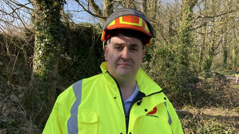 Ash dieback: Exploding diseased trees risk lives - experts - BBC News