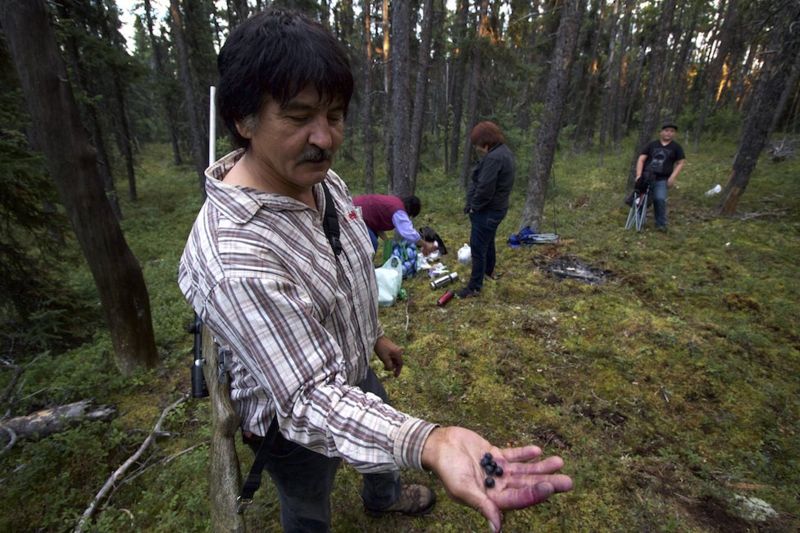 In pictures: Life in Prophet River - BBC News