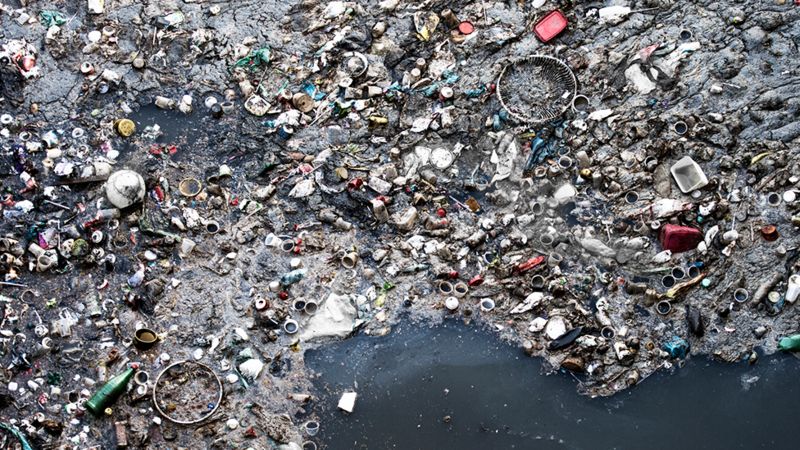 Environment in multiple crises - report - BBC News