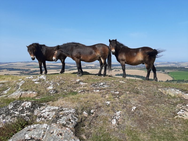 Your pictures of Scotland: 27 August - 3 September - BBC News