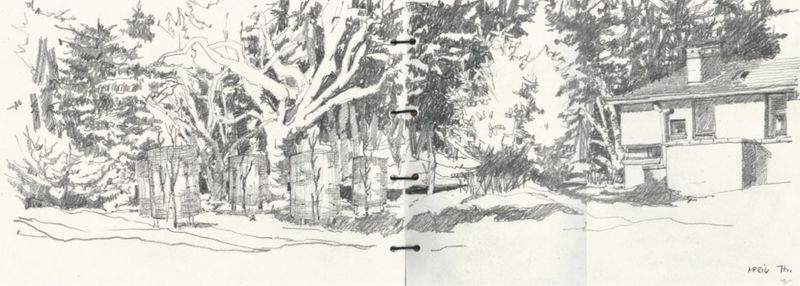 Coronavirus: Architect keeps lockdown sketchbook 'diary' - BBC News