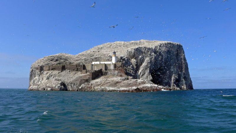 Your pictures of Scotland: 3-10 June - BBC News