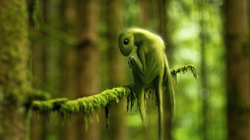 Welsh dragons: Legends and landscapes inspire new creatures - BBC News