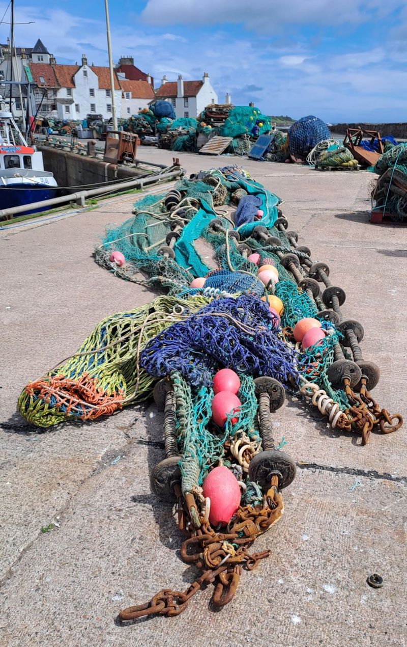 Your pictures of Scotland: 28 July to 4 August - BBC News