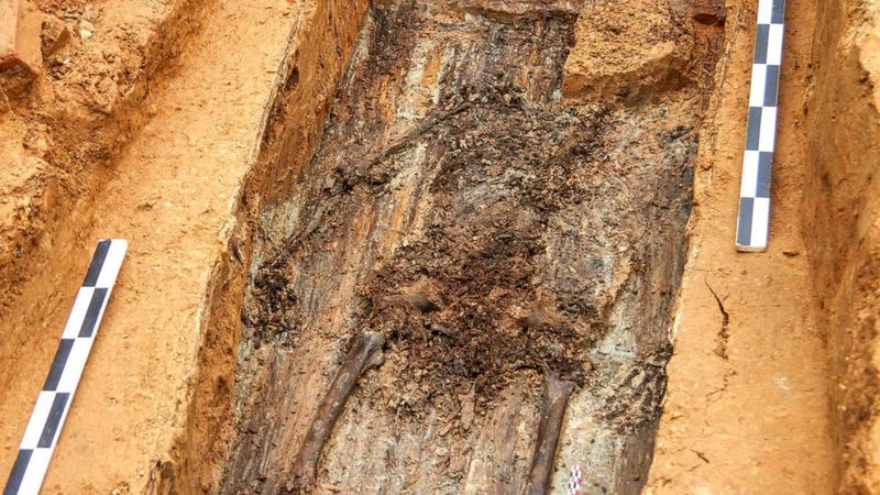 Napoleon's incendiary legacy divides France 200 years on - BBC News