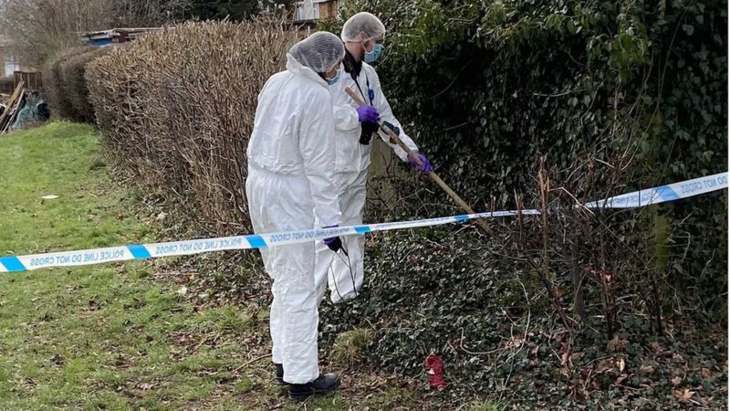 Stevenage murder investigation after attacked man dies - BBC News