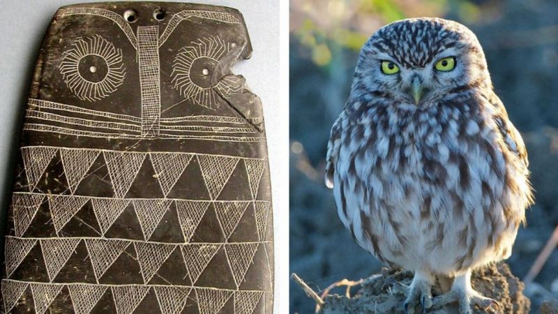 Vikings: Huge Viking hall uncovered in biggest Viking discovery in a ...