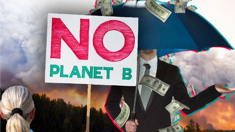 Climate change: How to be more eco-friendly in everyday life - BBC News