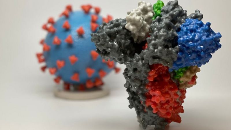 Coronavirus variants and mutations: The science explained - BBC News
