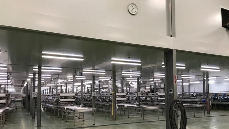 Fishrot: The corruption scandal entwining Namibia and Iceland - BBC News