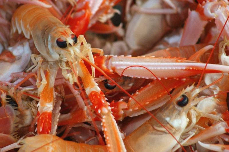 Your pictures of Scotland: 18-25 August - BBC News