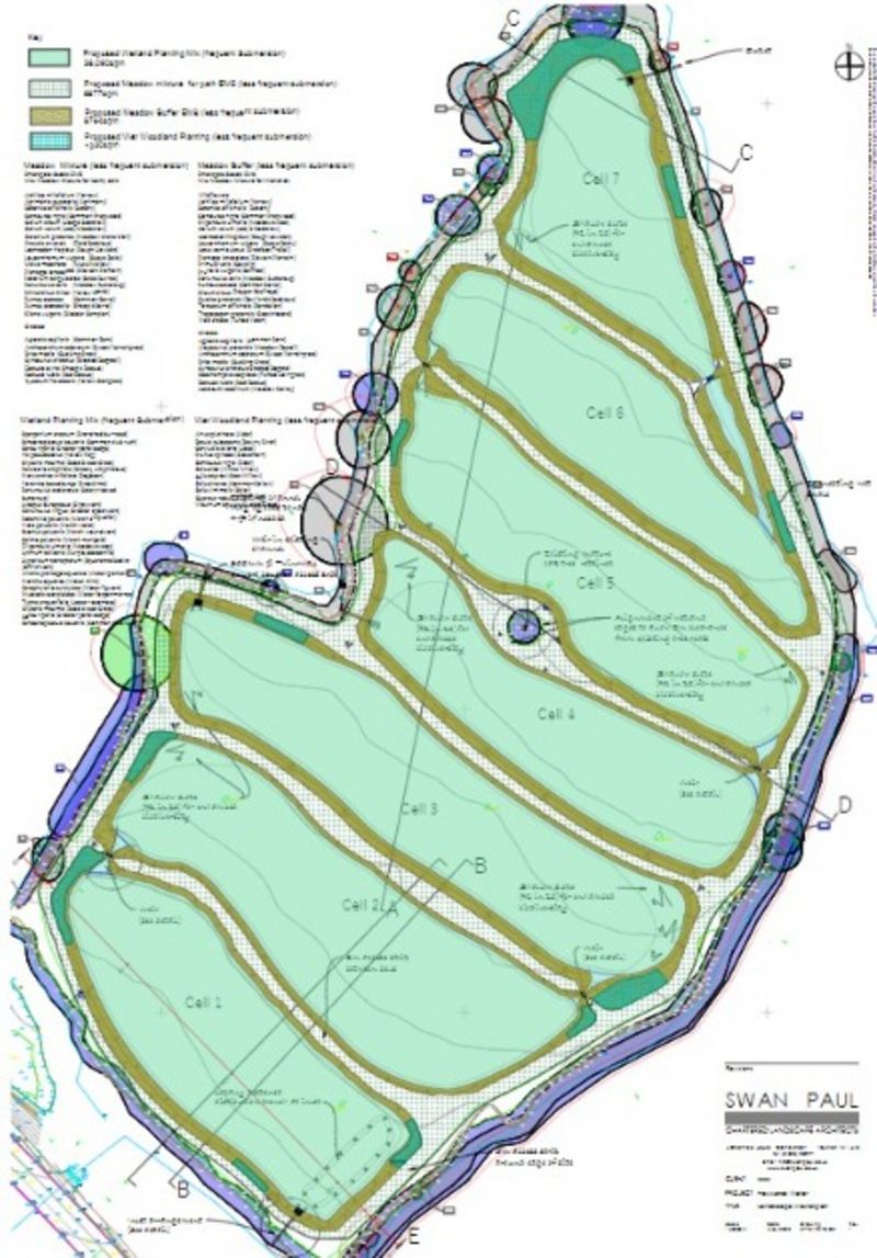 Plans for Somerset wetlands to mitigate phosphate levels - BBC News