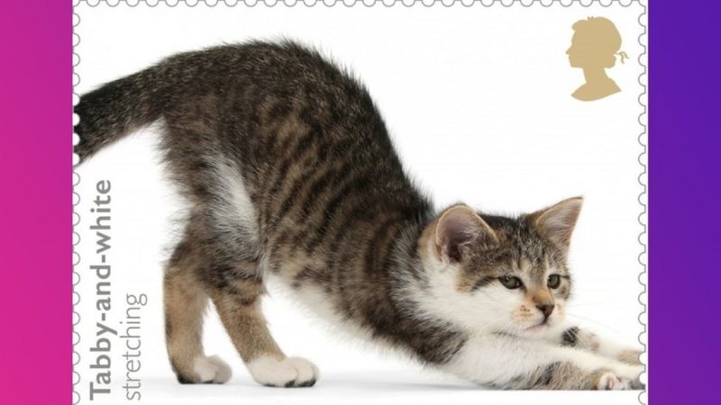 Royal Mail: New cat stamps released - BBC Newsround