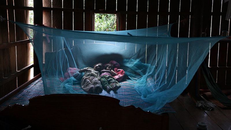 Defeat malaria in a generation - here's how - BBC News