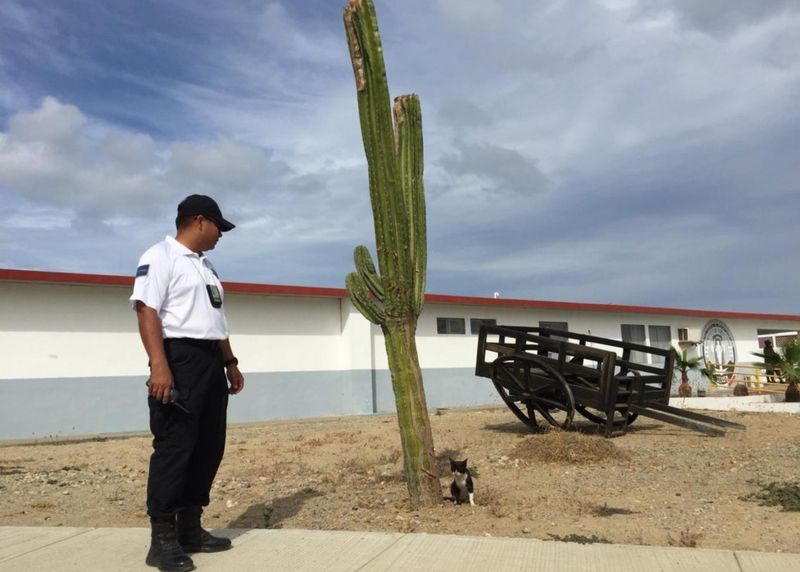 Islas Marías: así es la emblemática prisión, uno de los lugares más ...