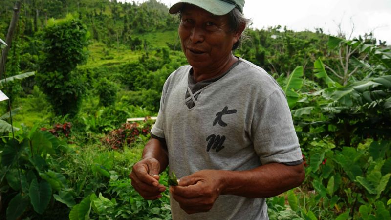 Dominica's Kalinago fight to preserve their identity - BBC News
