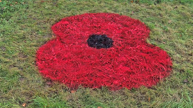 Remembrance Day poppies appear on Lincolnshire roundabouts - BBC News