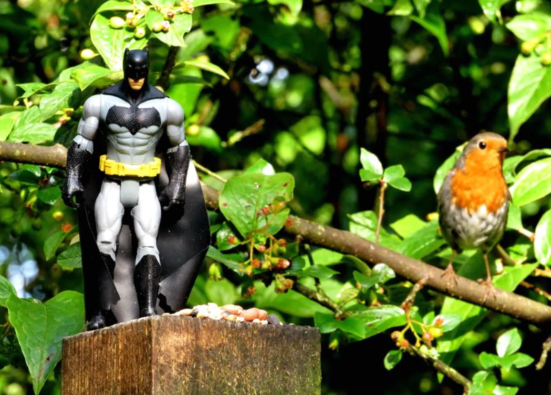 Your pictures of Scotland: 7 July to 14 July - BBC News