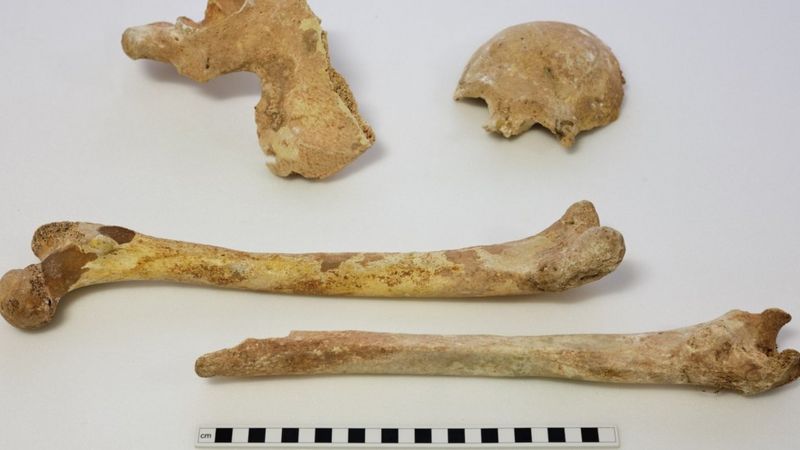 Somerset human remains 'as old as Cheddar Man' - BBC News